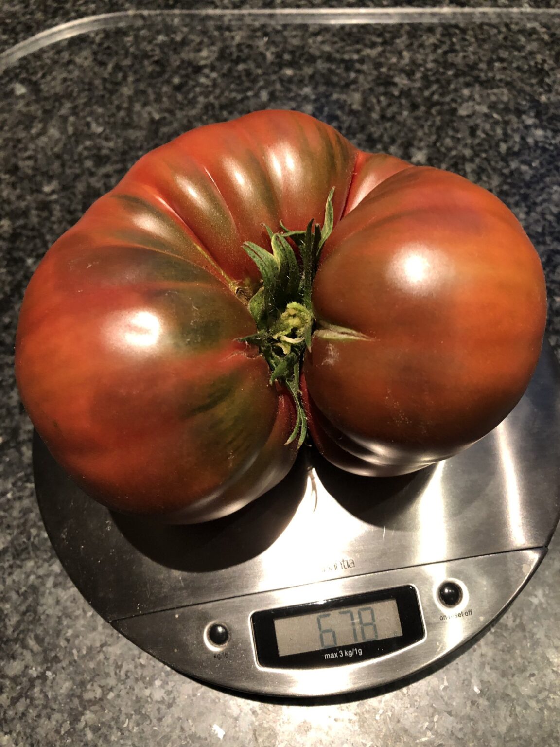 The Best Fall Tomato Varieties for Your Autumn Garden - Cultivating ...