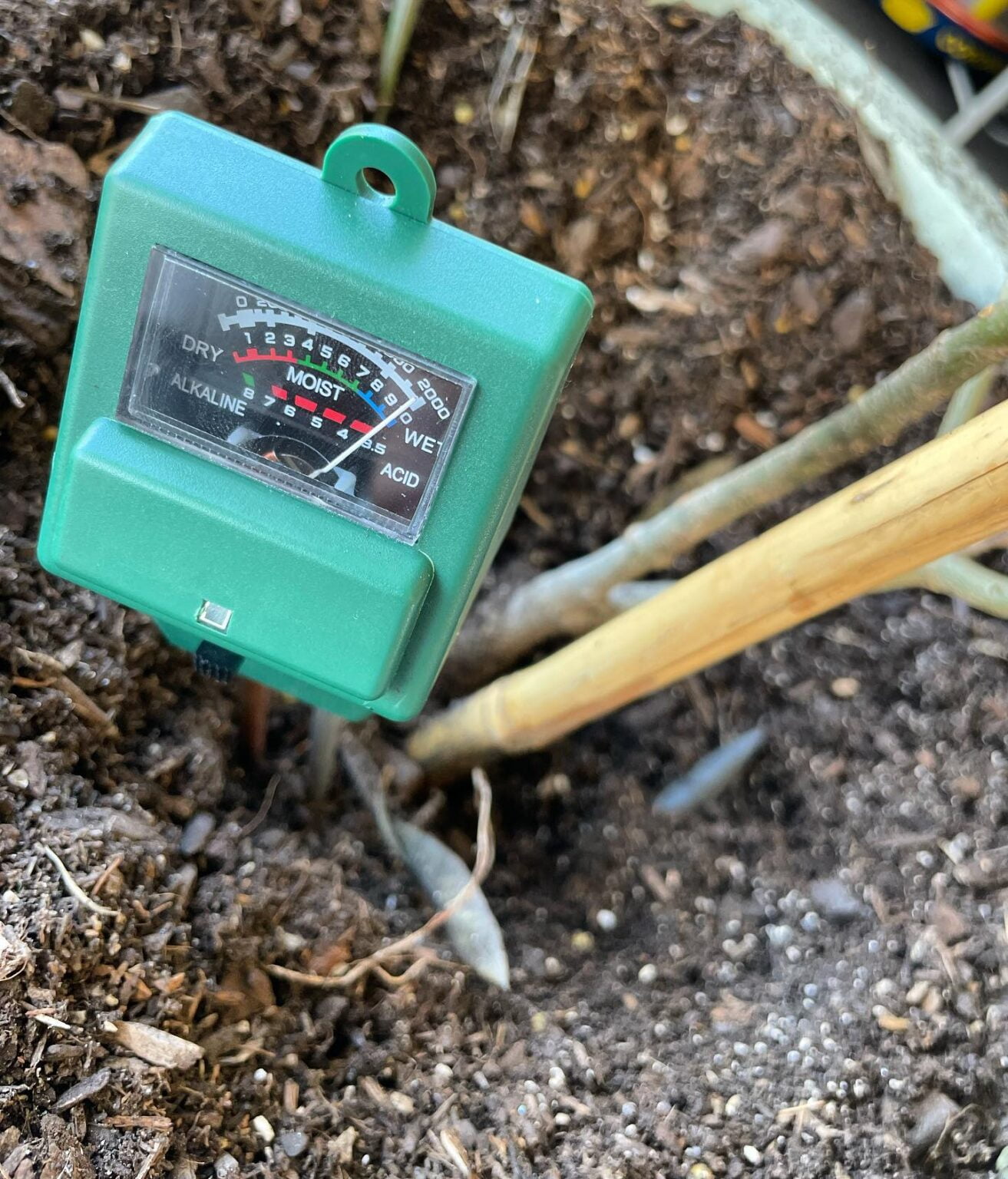 How to Use a Tomato Moisture Level Meter to Grow Perfect Tomatoes ...