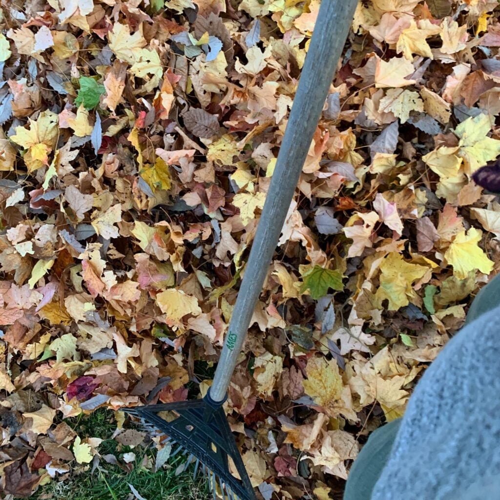 Using Leaves for Compost: Unlocking the Secrets to Nutrient-Rich Soil ...