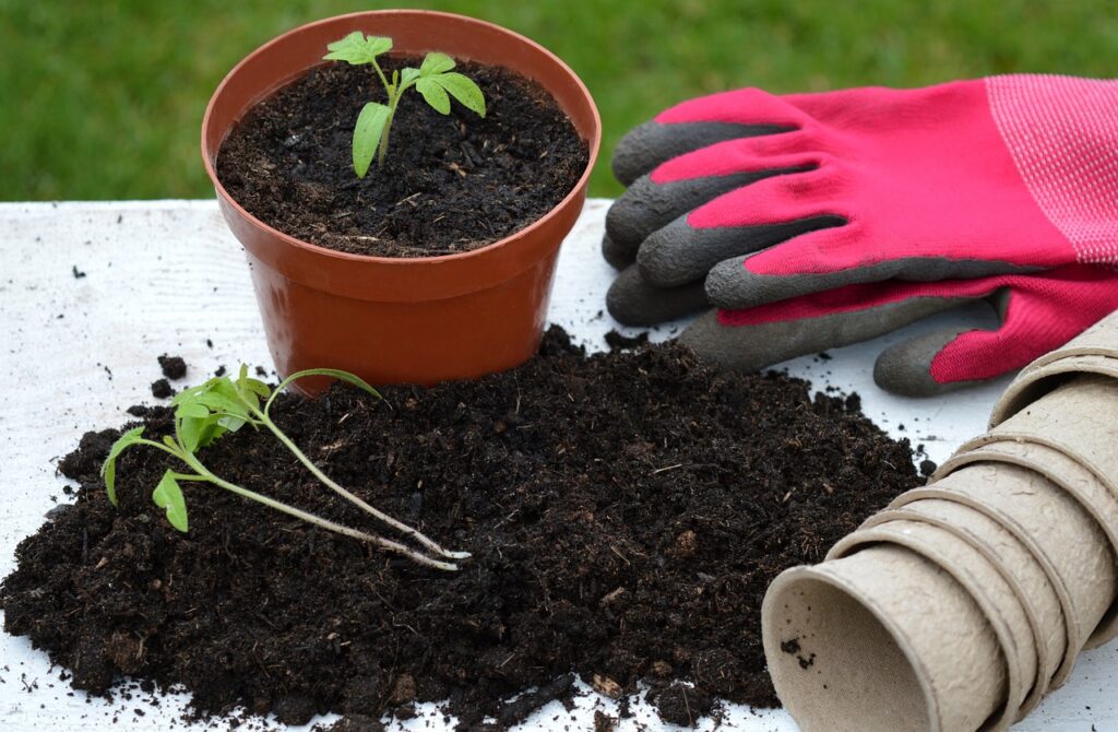 Unveiling the Best Times for Planting Vegetables in California For ...