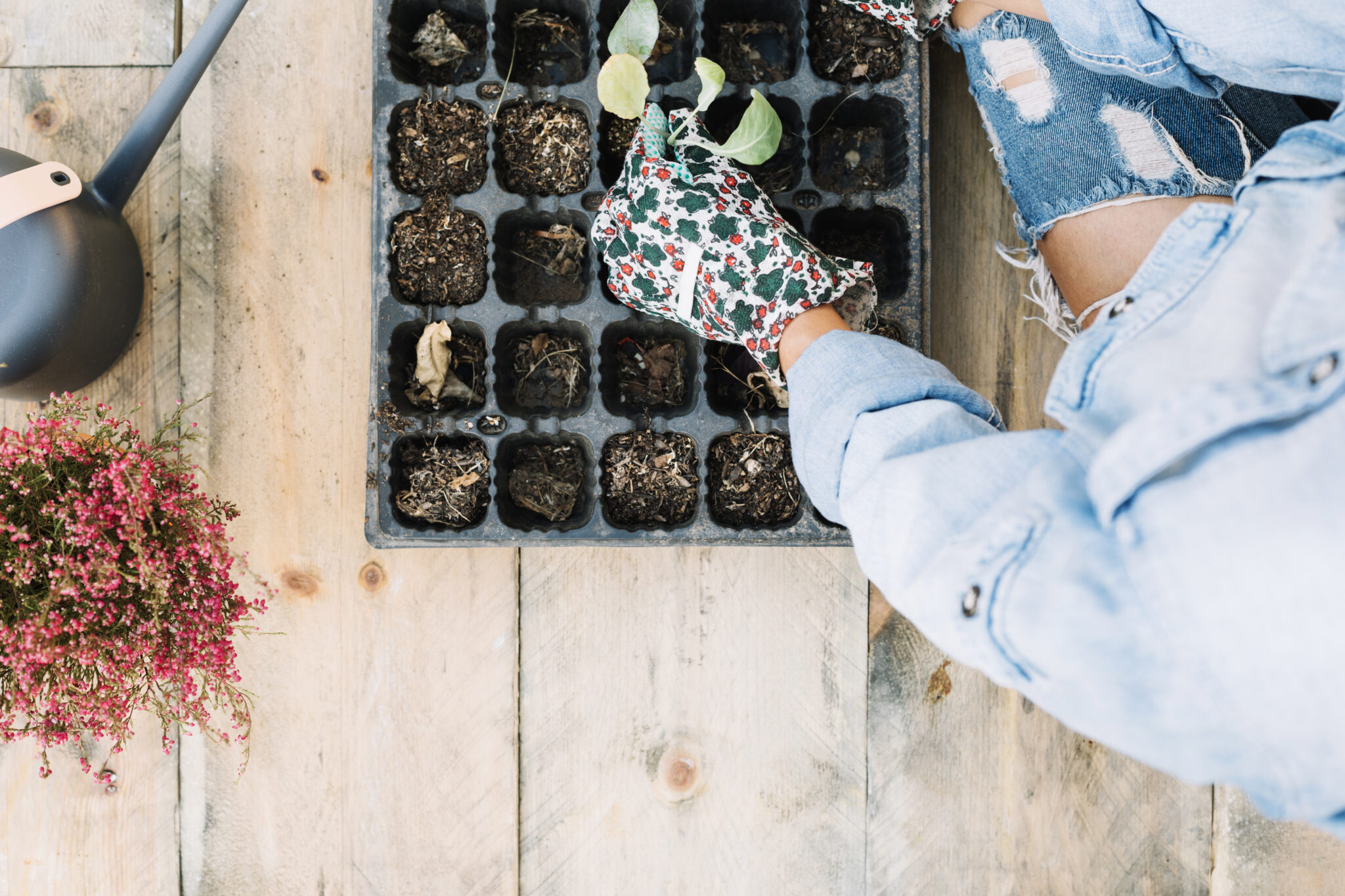 Your Dirt-Worthy Guide to Picking the Best Soil for Seed Starting in 6 ...
