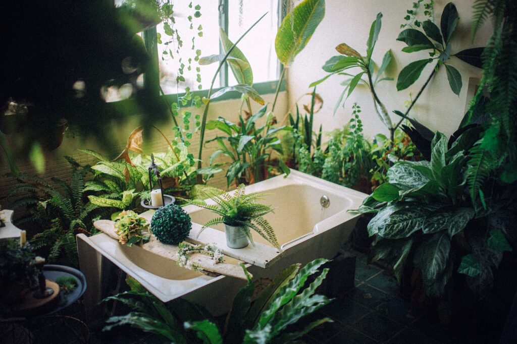 15 Houseplants Perfect for Bathrooms That Thrive in Humidity and Low ...